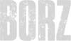 THE BORZ STORE